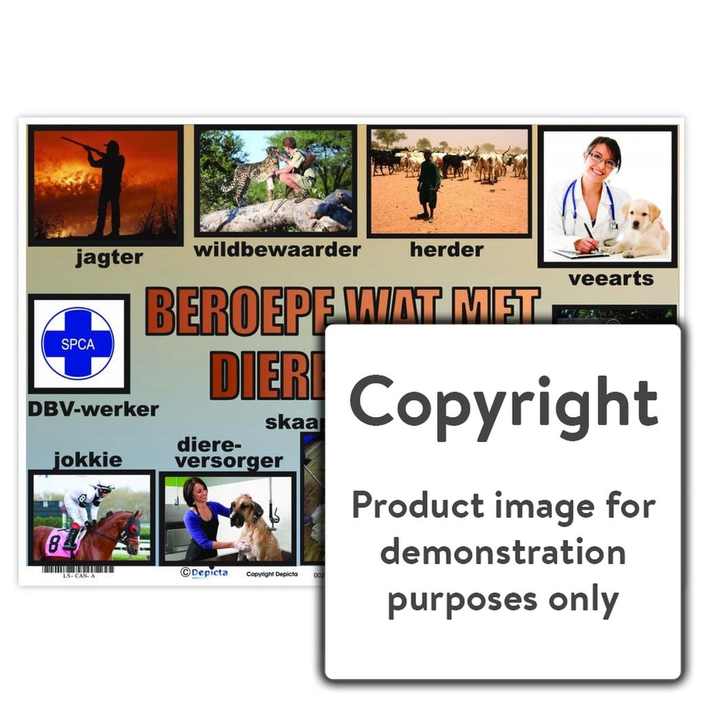 Beroepe wat met Diere werk — Depicta