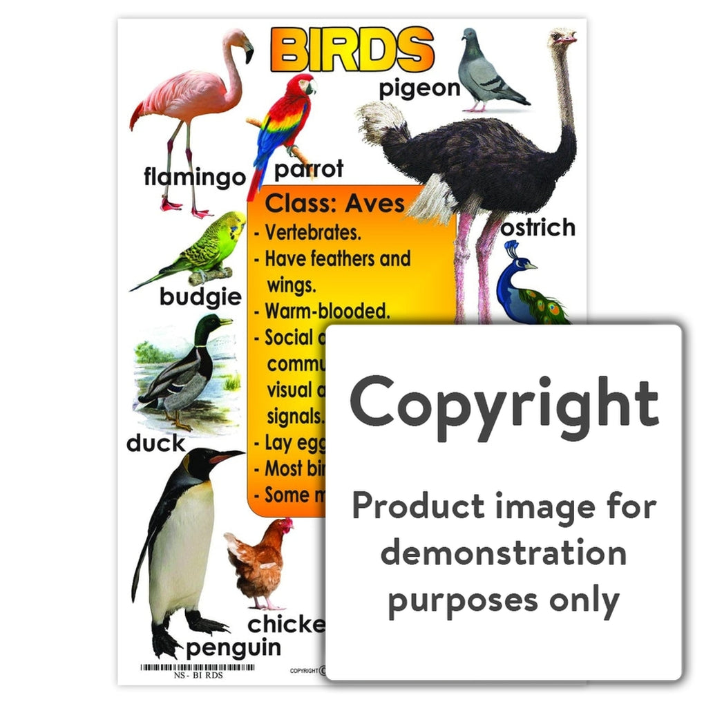 Natural Sciences and Technology - Grade 5 — Depicta
