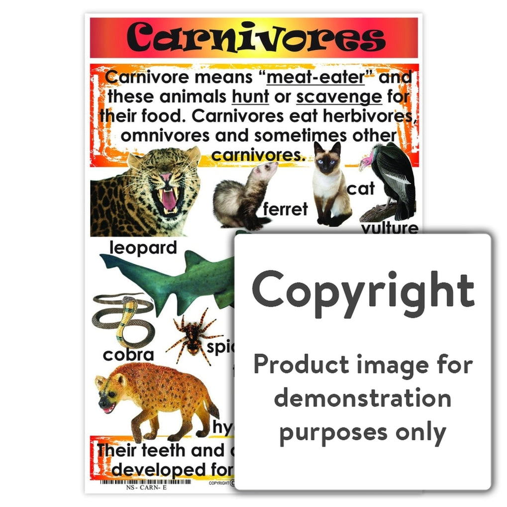 Natural Sciences and Technology - Grade 5 — Depicta