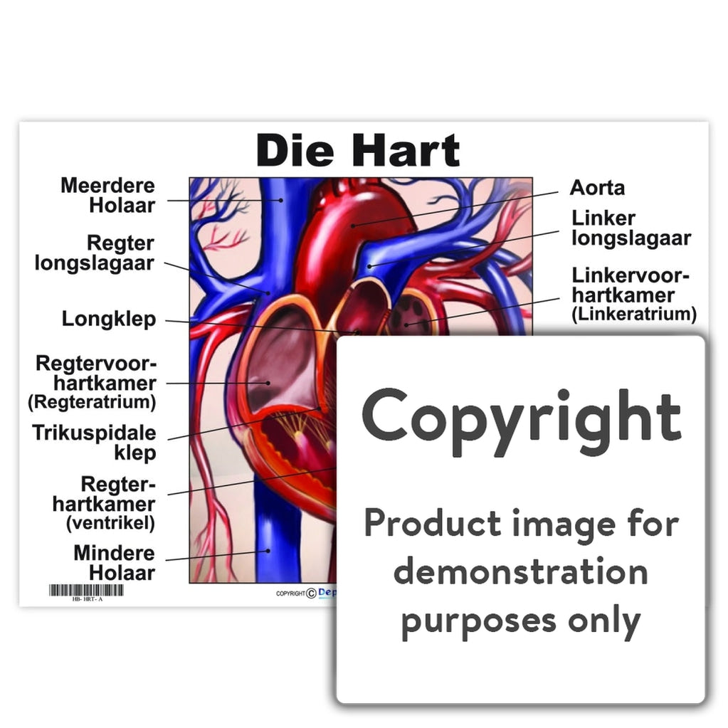 The Hart — Depicta