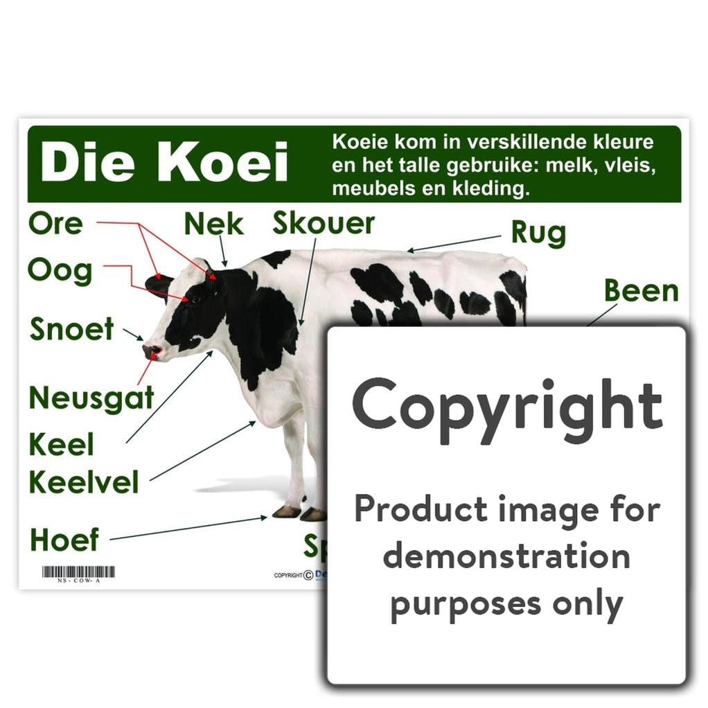 Die Koei — Depicta