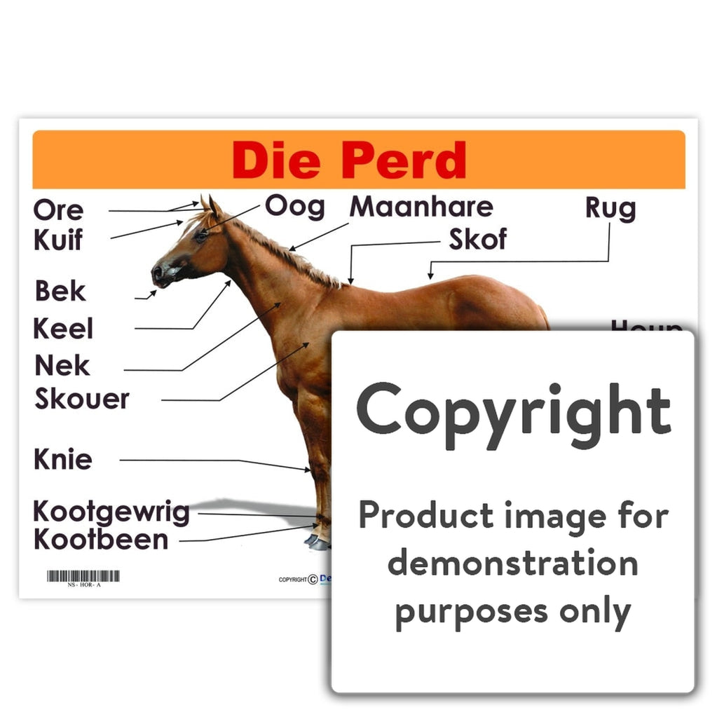 Die Perd — Depicta