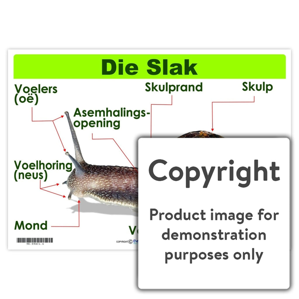 Die Slak — Depicta