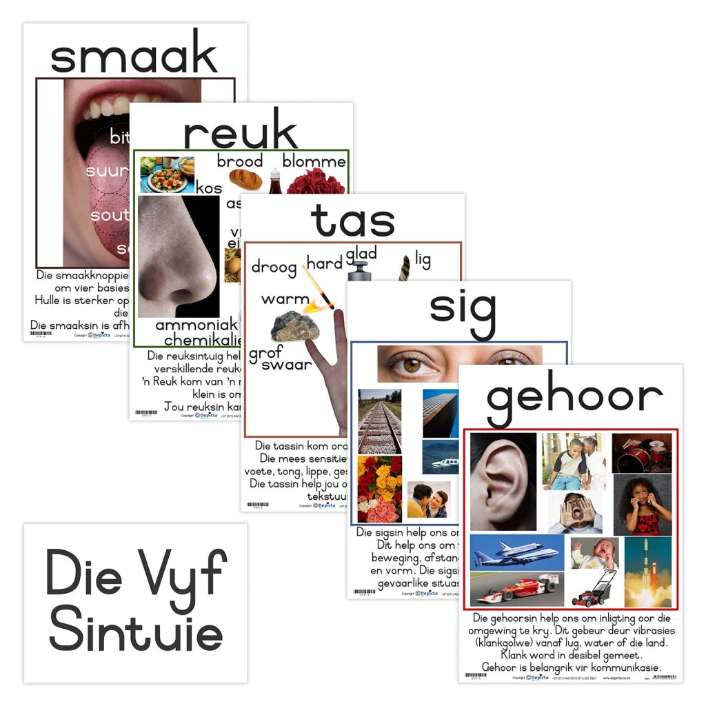 Die Vyf Sintuie — Depicta