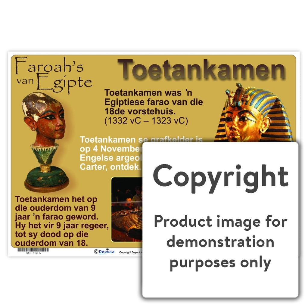 Faroah's van Egipte: Toetankamen — Depicta