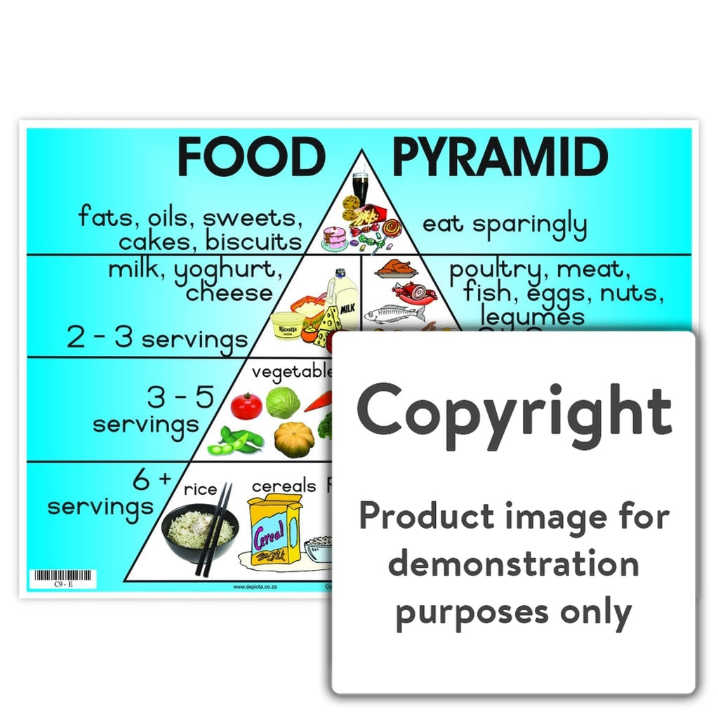Food Pyramid Picture