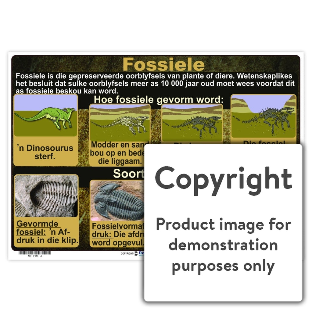 Fossiele — Depicta