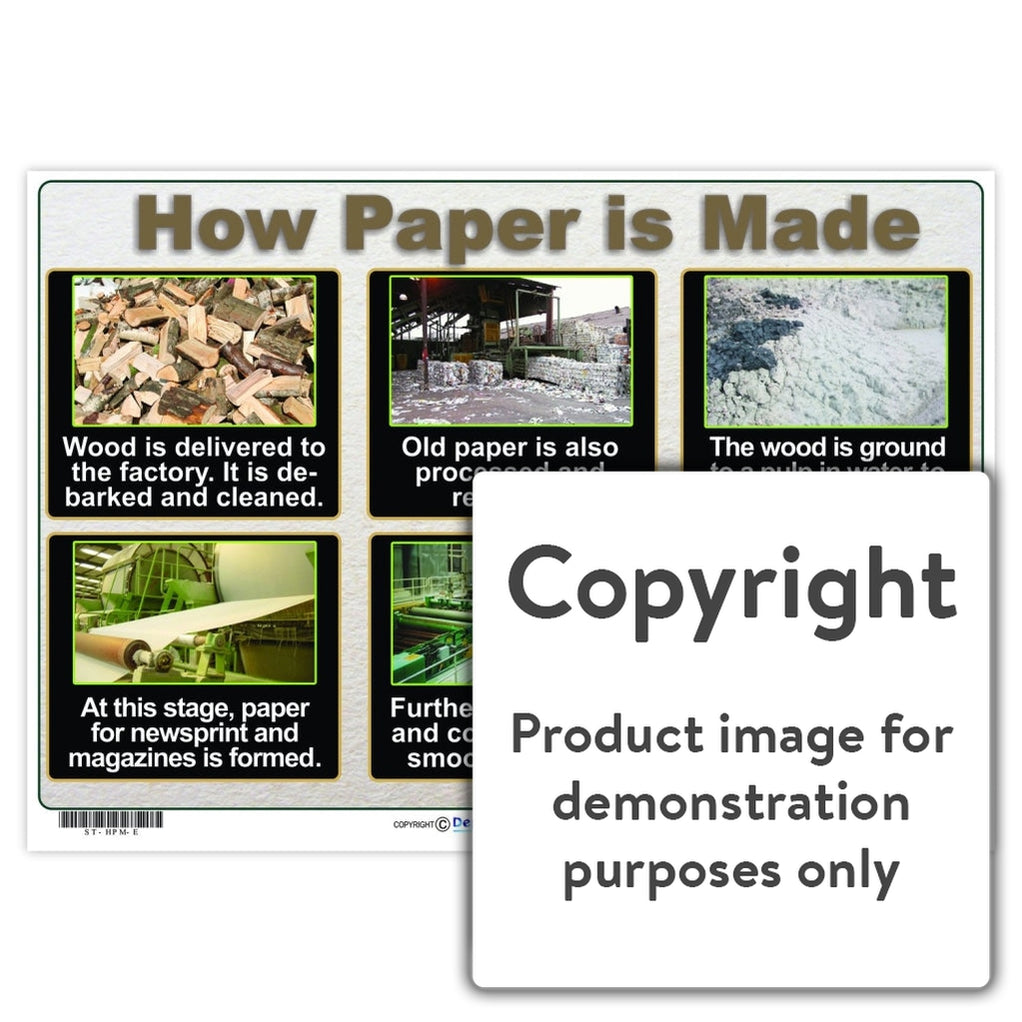 How Paper is Made — Depicta