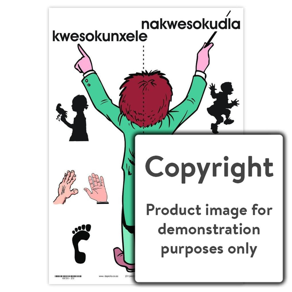 Life Skills - Grade R — Depicta