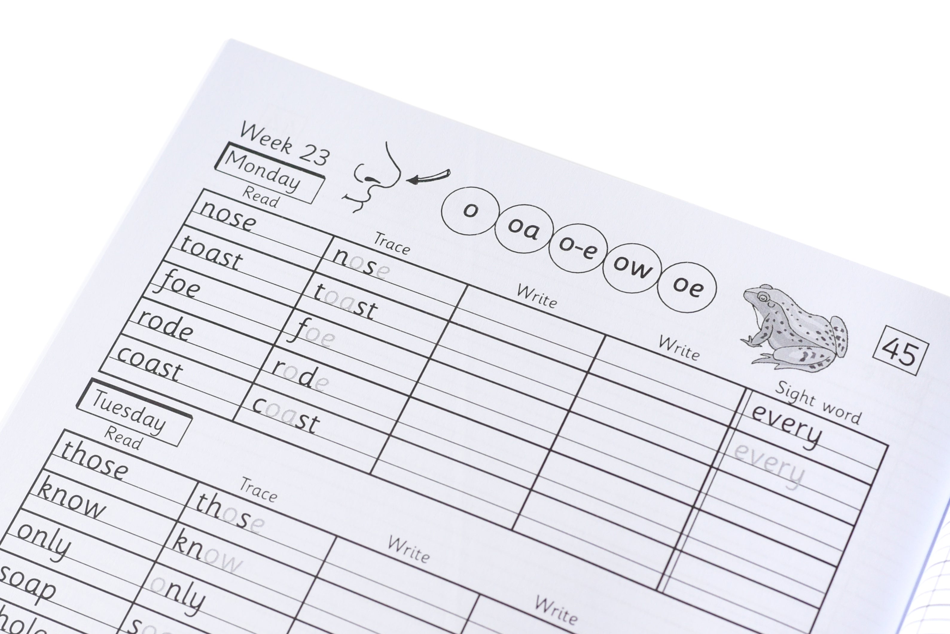 My Spelling Homework Book 3 — Sassoon Font — Depicta