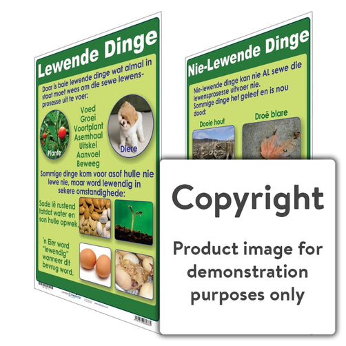 Lewende en Nie-Lewende Dinge — Depicta