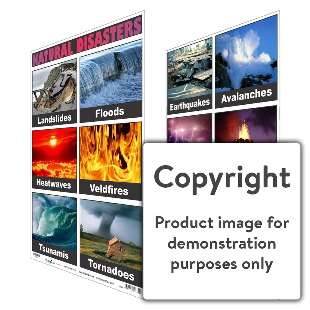 Earth and Beyond, Natural Disasters, Pollution, and Sustainability ...