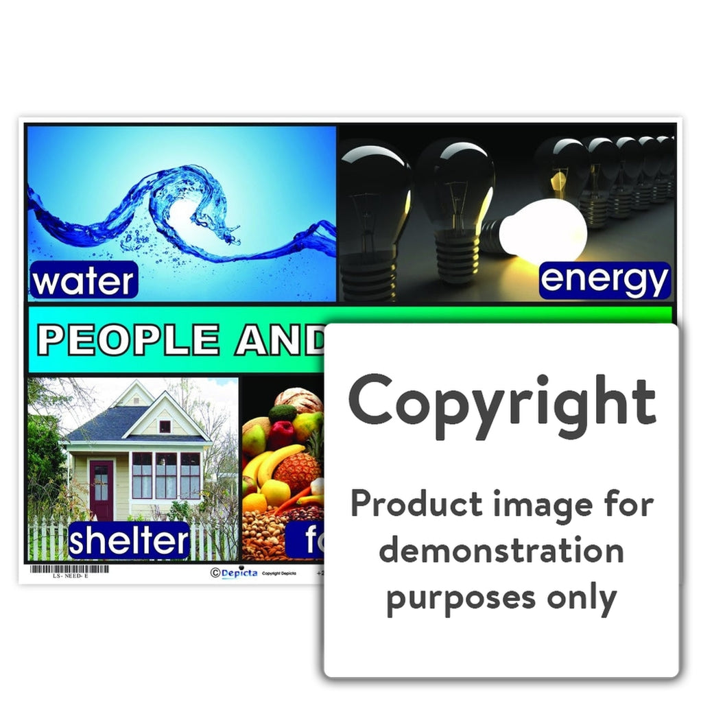 People and Their Needs — Depicta