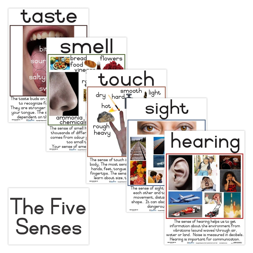 The Five Senses — Depicta