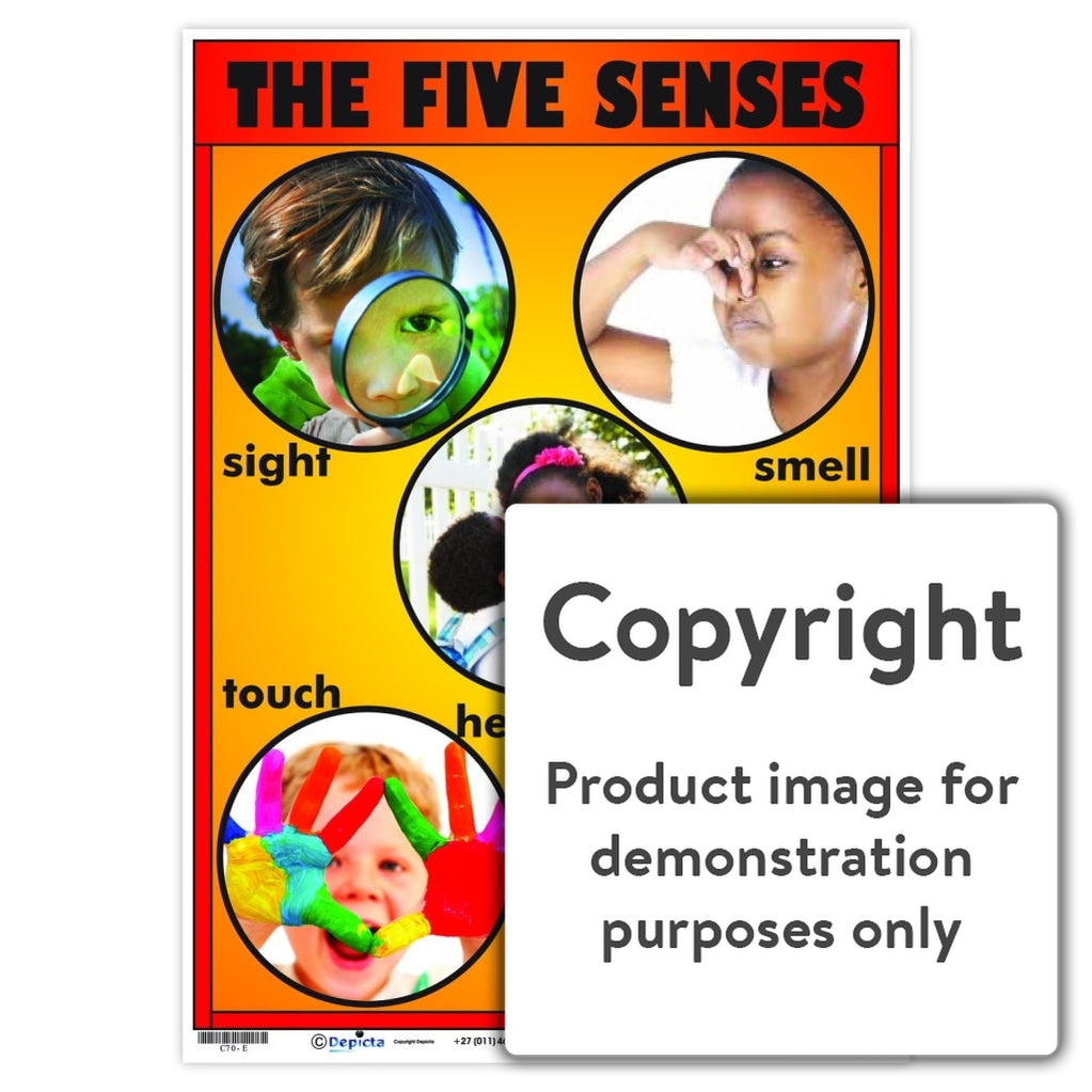The Five Senses — Depicta