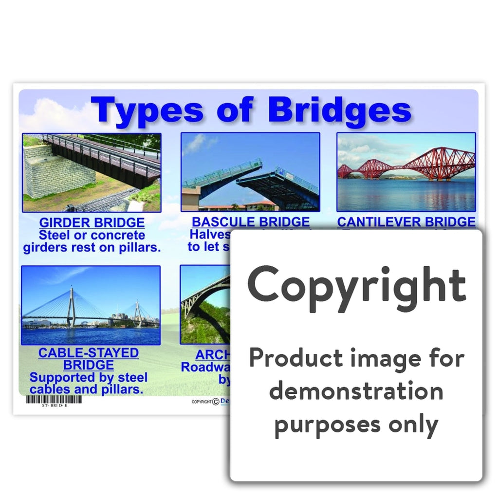 Types Of Bridges