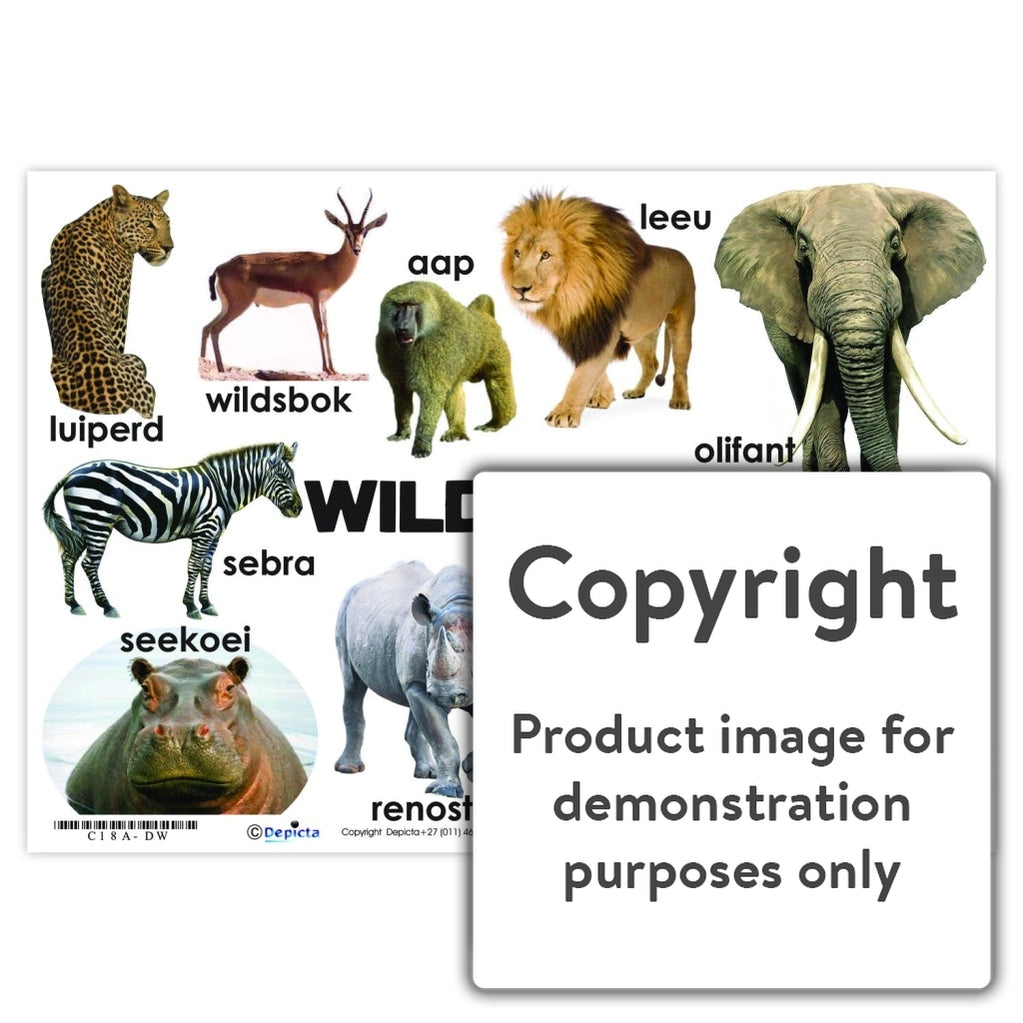 Wild Animals Images With Names