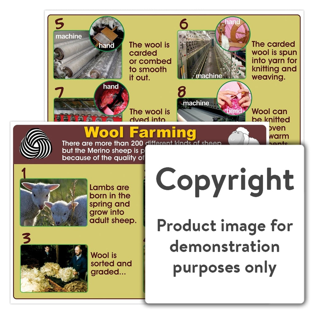 Wool Farming — Depicta